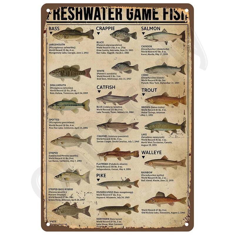 Металлические Вывески Картинки Настенные Искусственные Таблички Плакаты Домашний Декор Ретро Винтаж Бар Спальня Гостиная Украшения Предметы Оловянные Вывески Роскошные