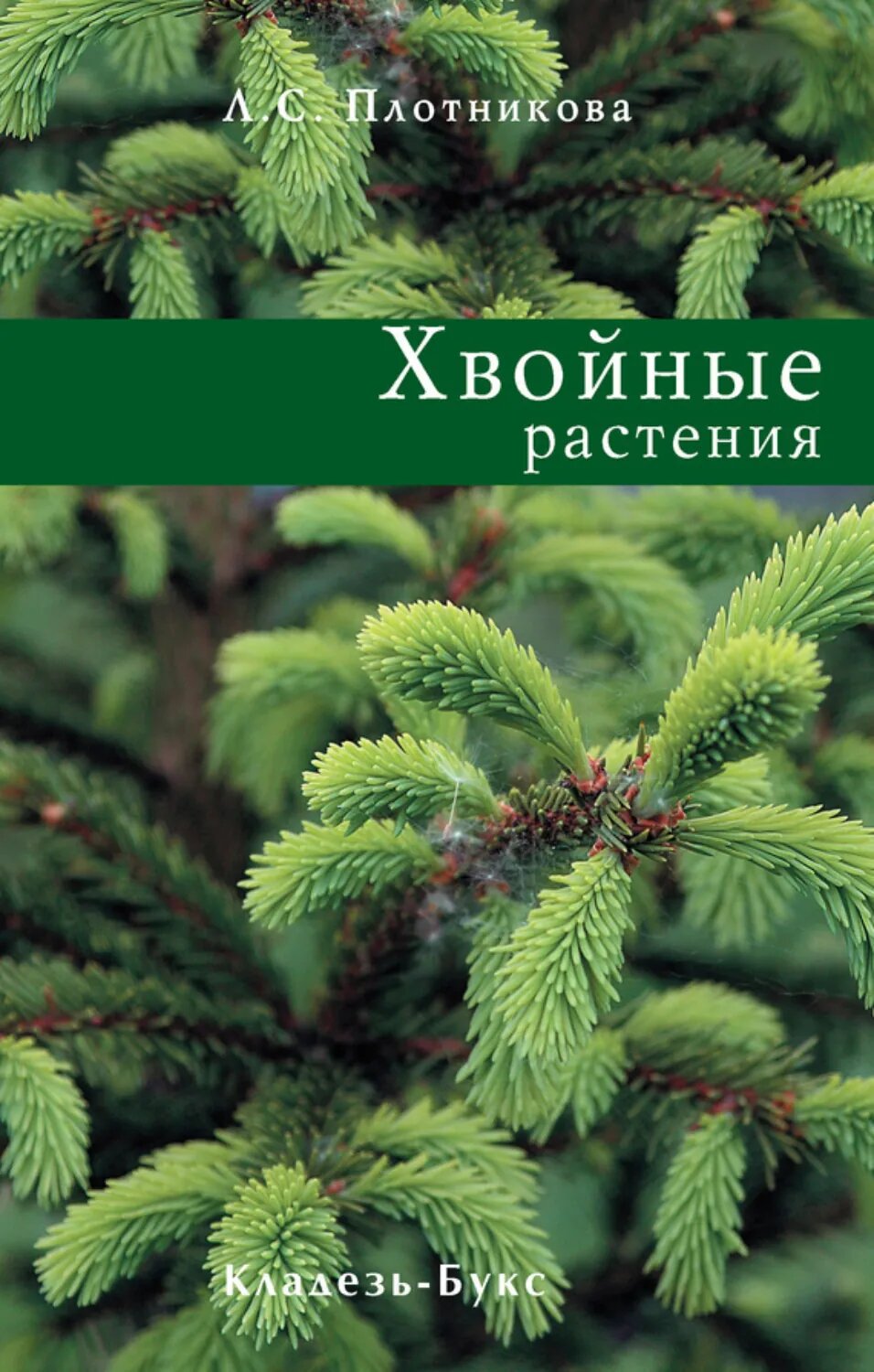 Хвойные растения [Цифровая книга]