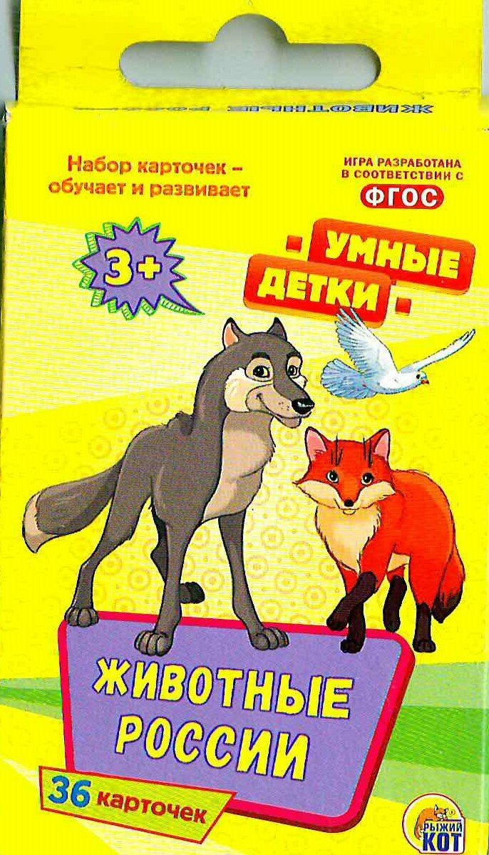 Рыжий кот Умные детки. Животные России ИН-3026