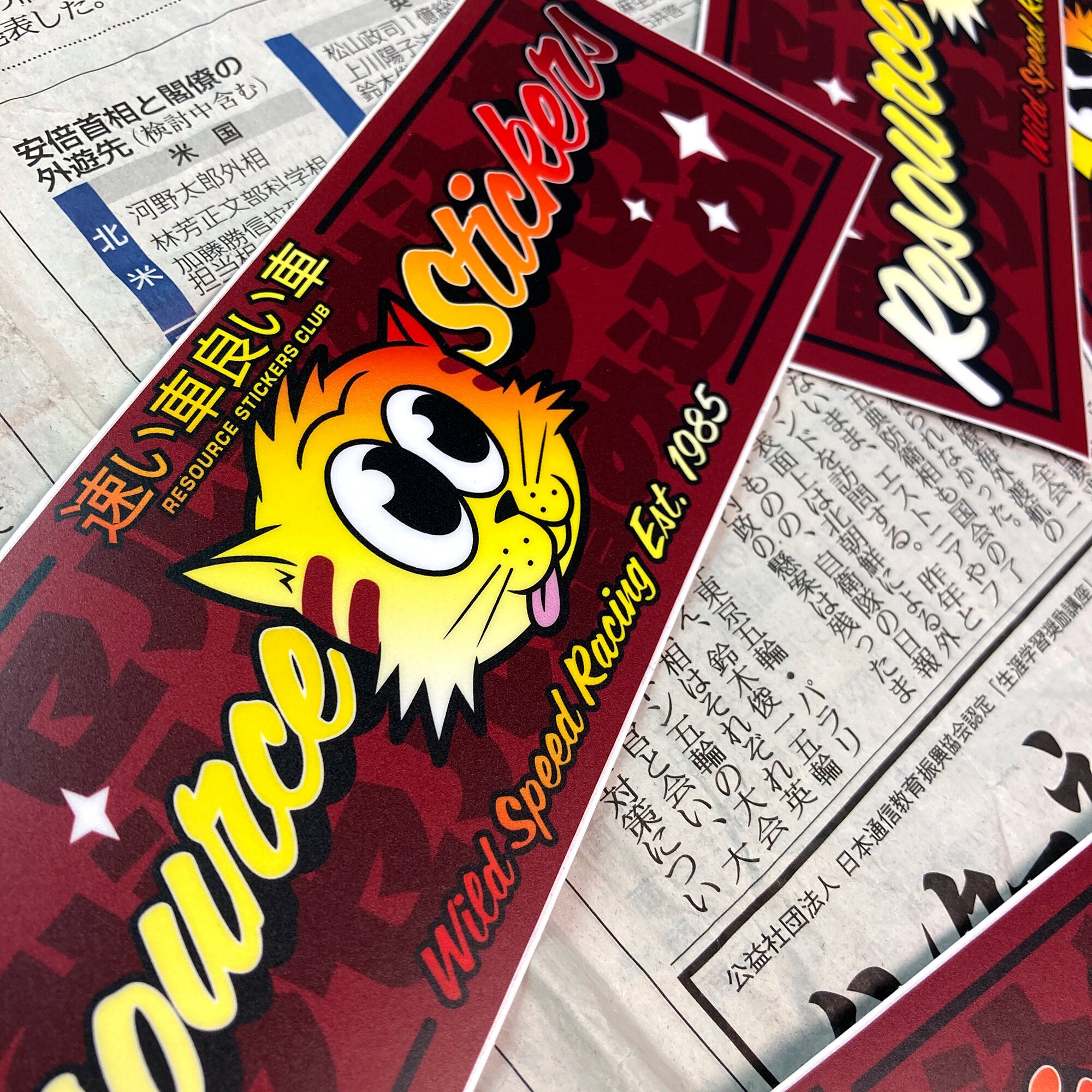 Наклейка на авто, slap sticker, Resource stickers cat / Resource Stickers