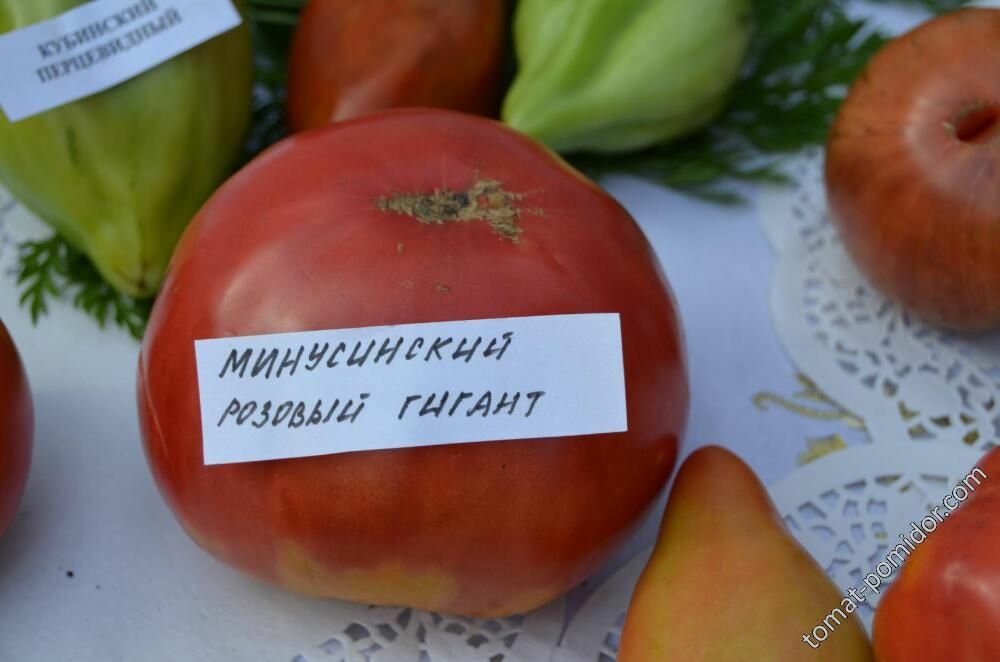 Коллекционные семена томата Минусинский гигант розовый
