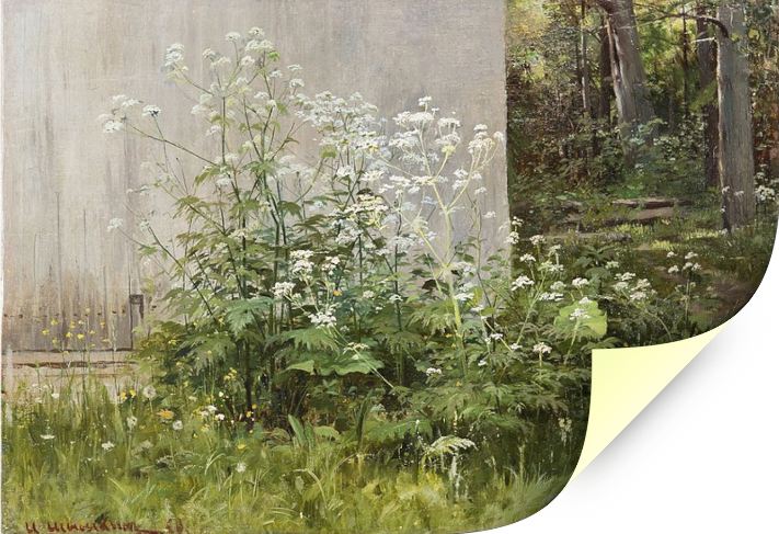 "Цветы у забора", Шишкин Иван Иванович, картина (репродукция) (55х38 см / без подрамника)