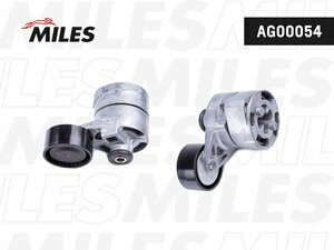 Натяжитель ремня приводного FORD TRANSIT 2.4D/3.2D 06-