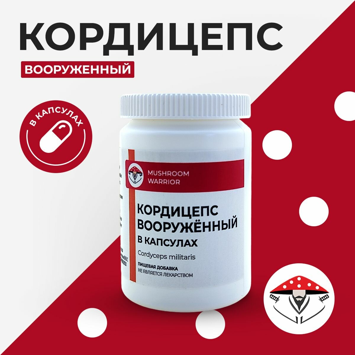 Кордицепс военный (вооруженный) ноотроп для иммунитета, восстановления энергии, детокс для омоложения, потенции, похудения и снижение холестерина, 2 х 60 капсул