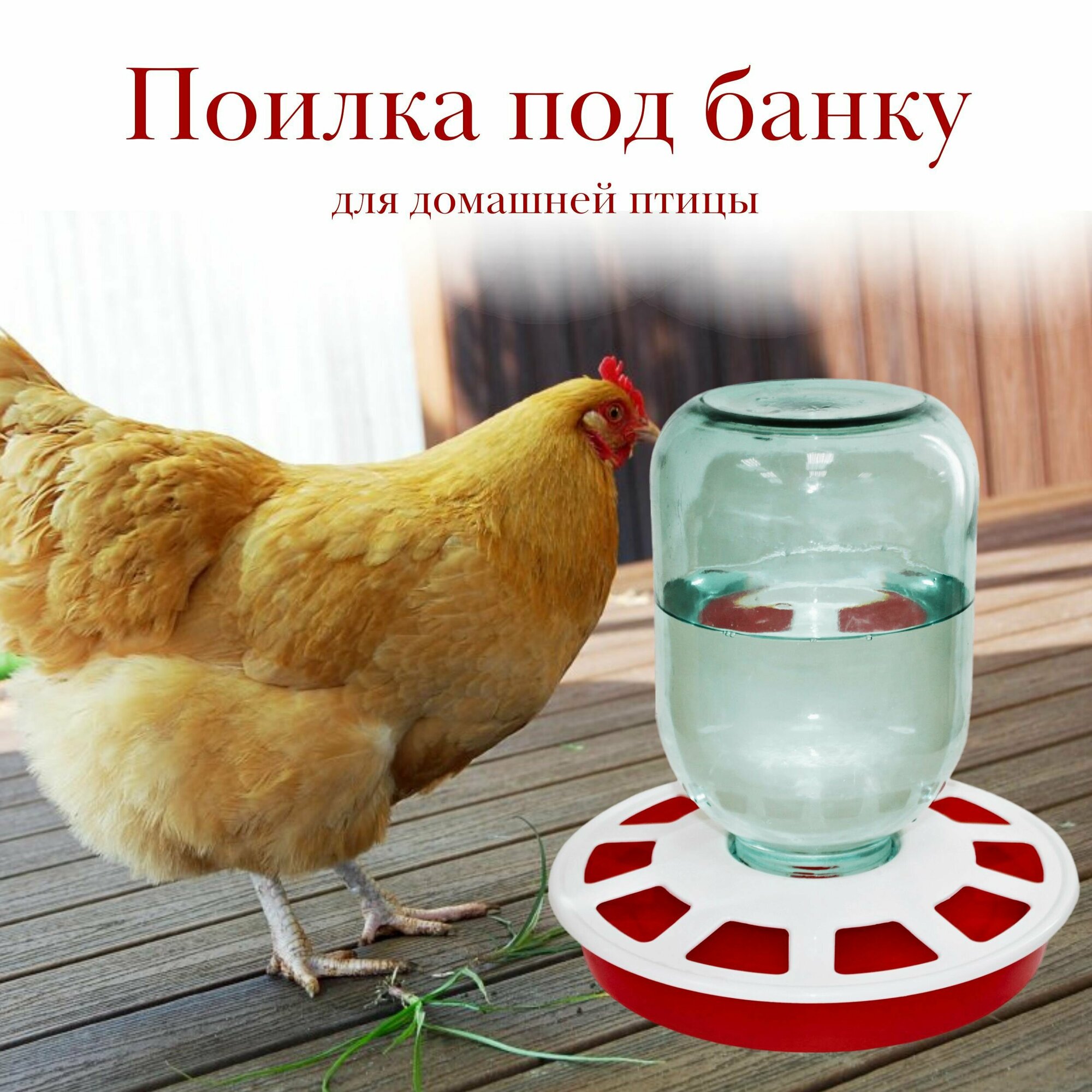 Поилка для домашних птиц, под банку, вакуумная, диаметр 26 см