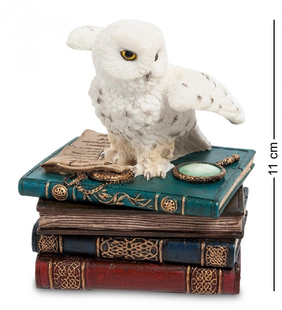 Шкатулка Veronese "Сова на книгах" (color) WS-721