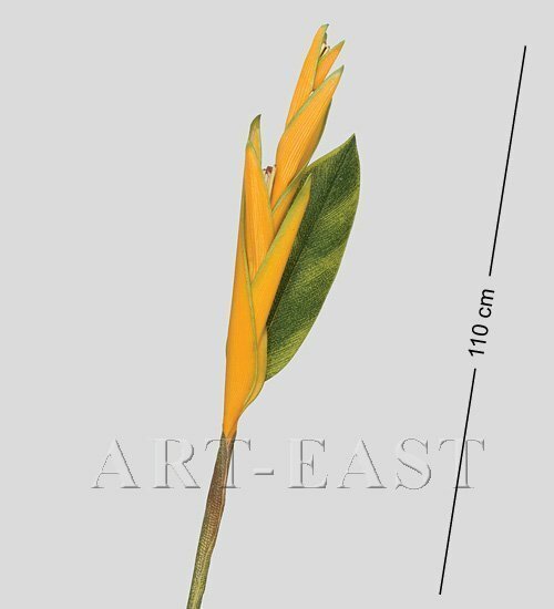 Райская птица TR 524 113-50747