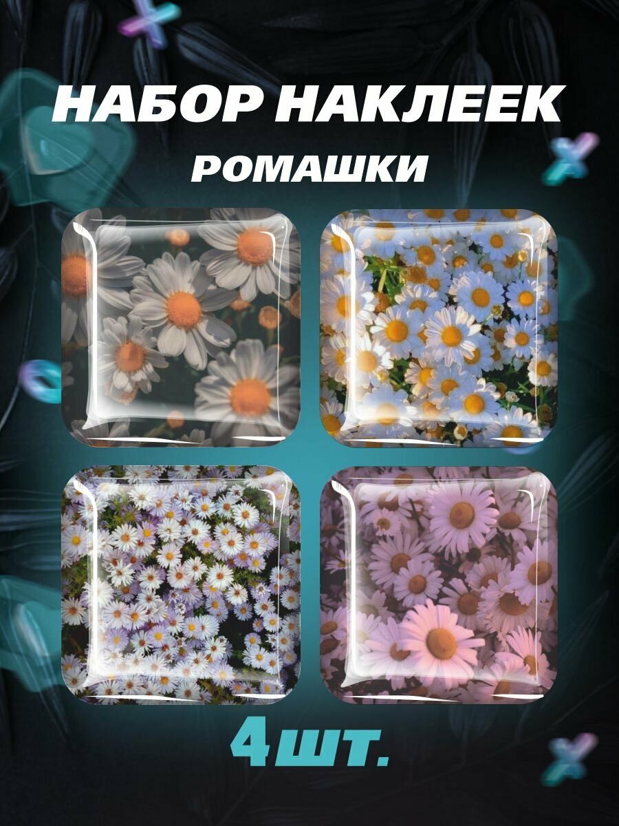 3D Наклейки Ромашки