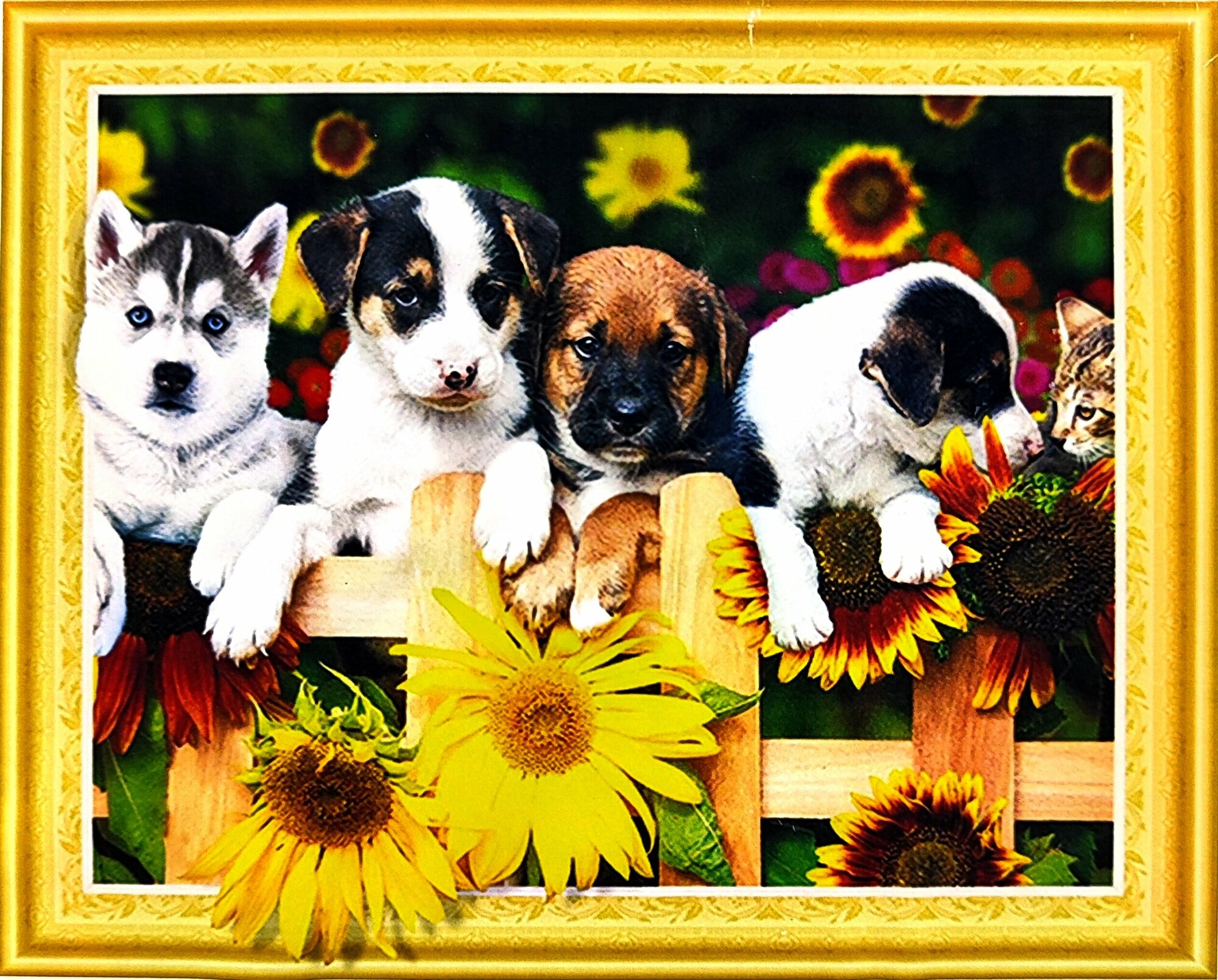 Алмазная мозаика круглые, частичная выкладка, на подрамнике, щенки, хаски, собаки в цветах, животные 40*50