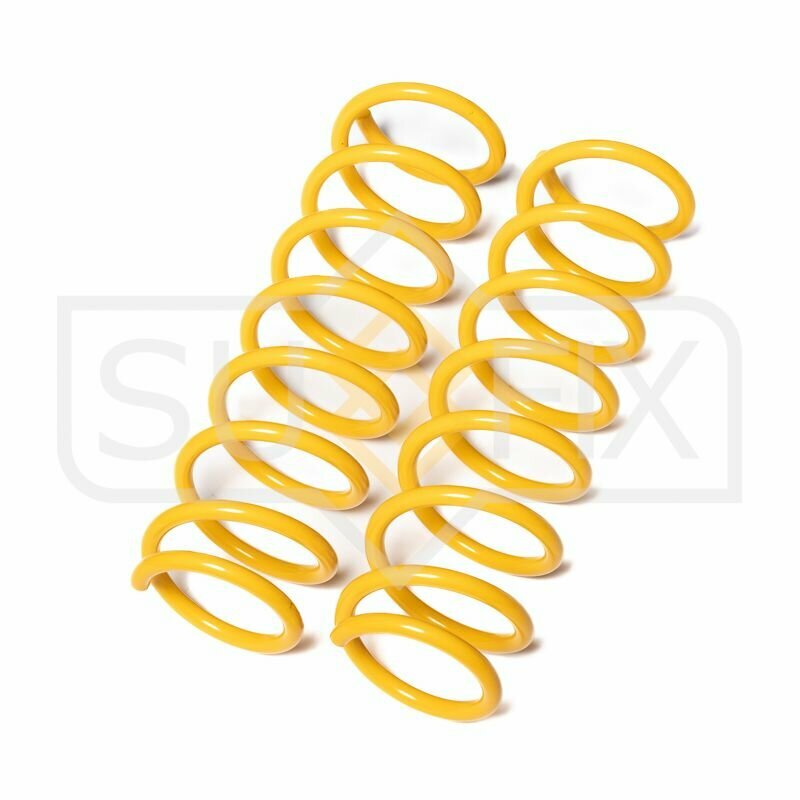 SUFIX Пружины подвески задние(2шт.) BMW 5(E60) 03>