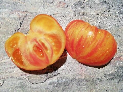 Коллекционные семена томата Полосатые Конфеты Уолтера