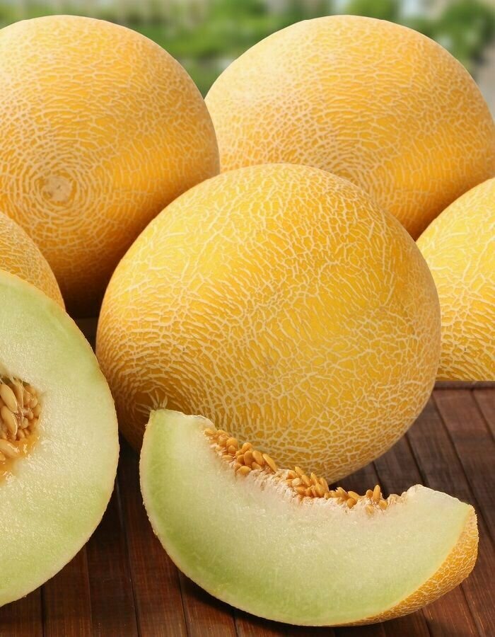 Дыня Сенсейшен F1, уникальный гибрид для получения раннего урожая с великолепным вкусом, текстурой и ароматом, 5 семян