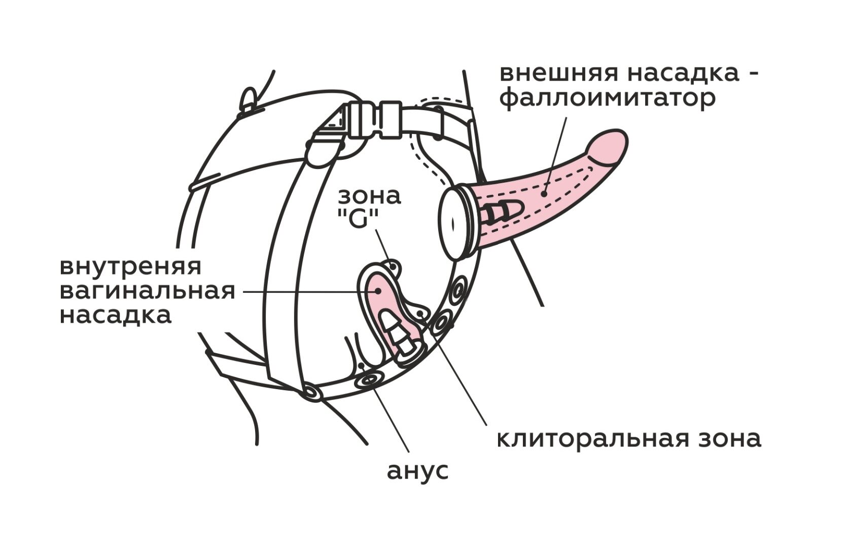 Кожаный пояс харнесс премиум класса WOMAN LONG(S) с 3 насадками, 303903, 87068