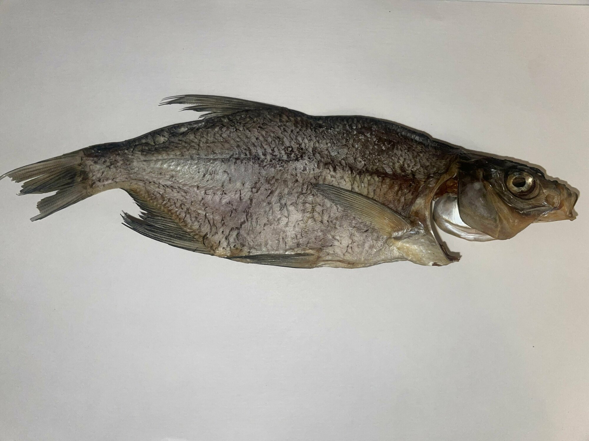 Вяленый лещ, собственного производства, вакуумная упаковка