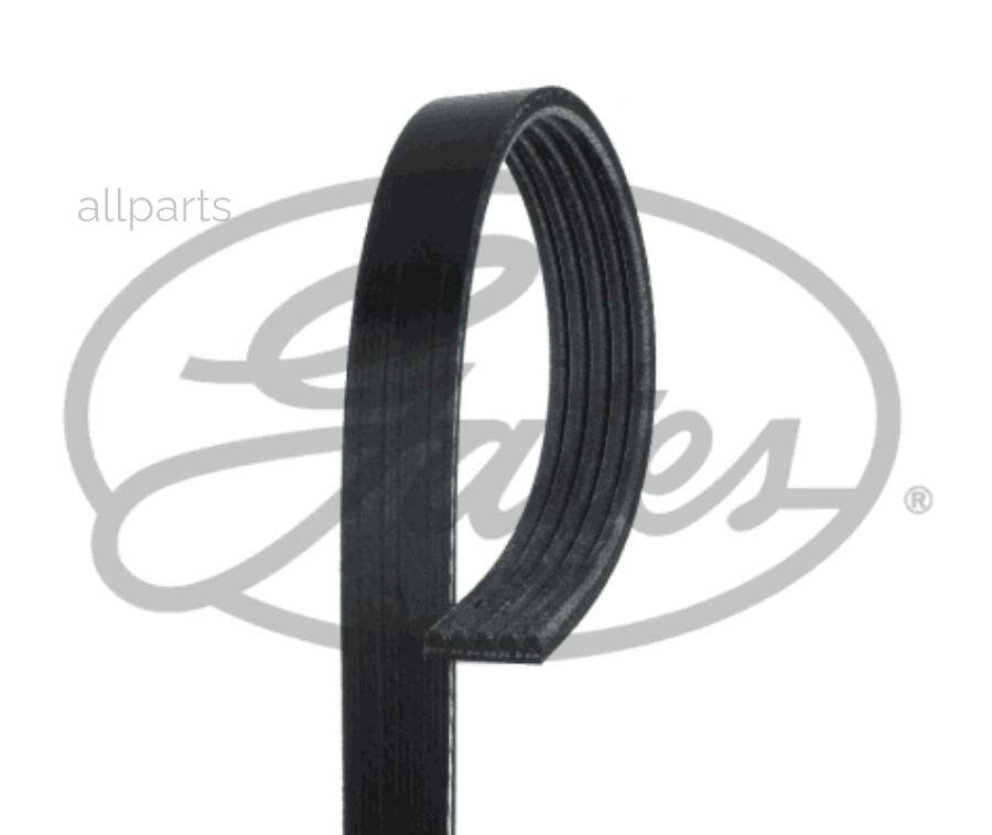 GATES 5PK1113 Ремень приводной Audi A4 00-09 / A6 04-10 2C;2CT;3CE;3CTE;3SFE;3SGE;4SFE;5SFE