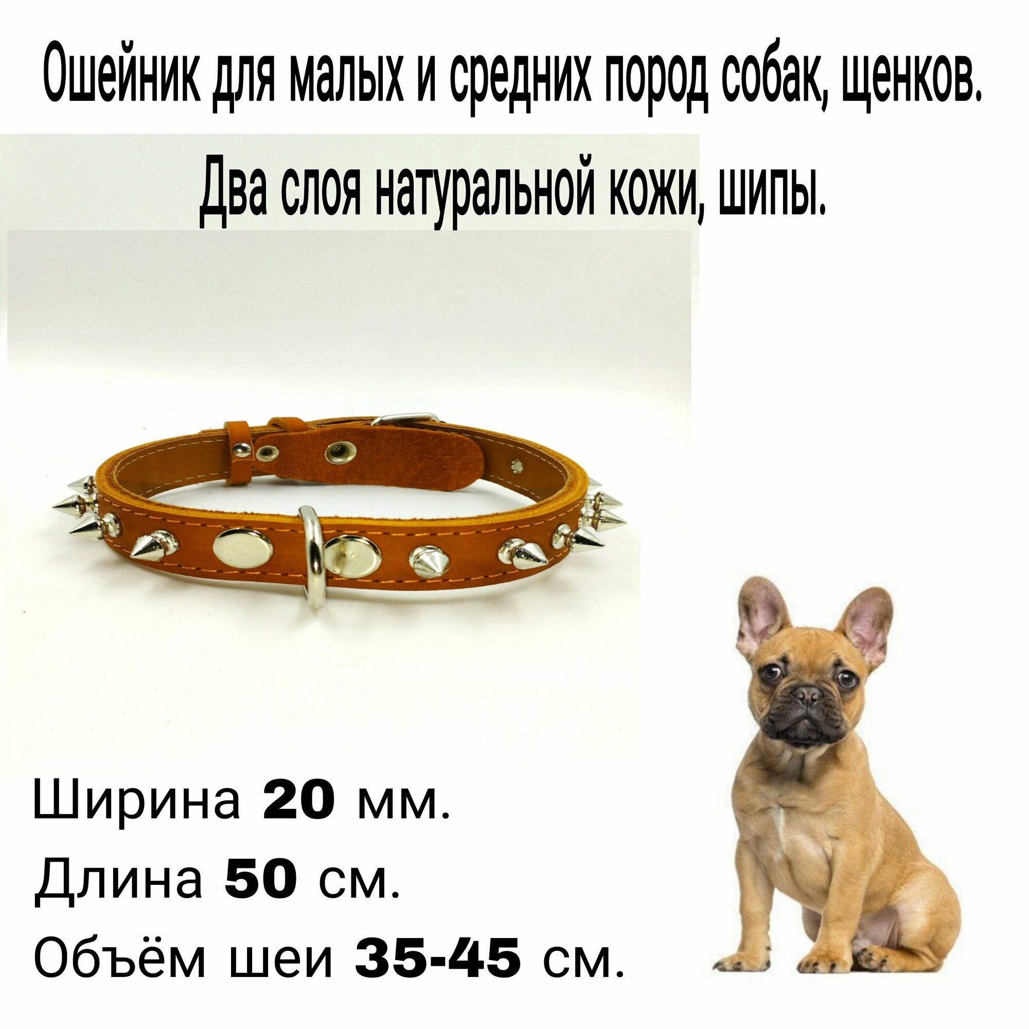 Ошейник из натуральной кожи с шипами для собак малых и средних пород, щенков 20 мм*59 см, объём шеи 35-45 см. Два слоя натуральной кожи.