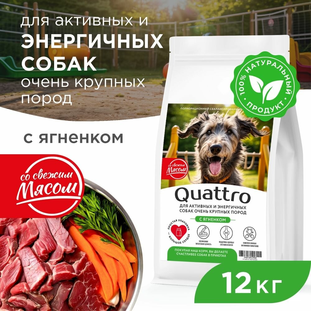 Quattro корм для взрослых собак очень крупных пород, для активных и энергичных, с ягненком 12 кг