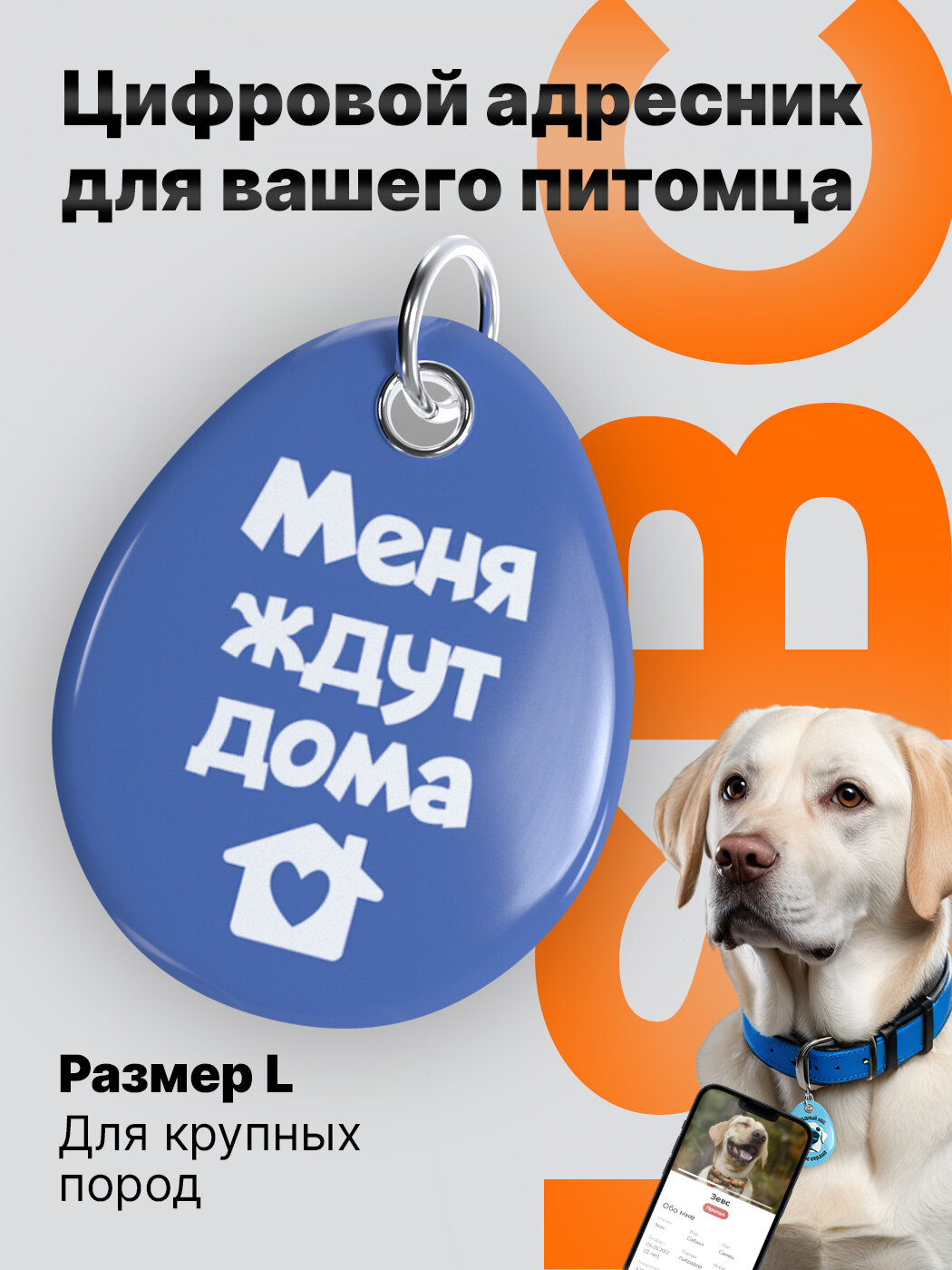 Адресник для собак средних и крупных пород от ISBC с NFC и QR-кодом, Меня ждут дома, синий