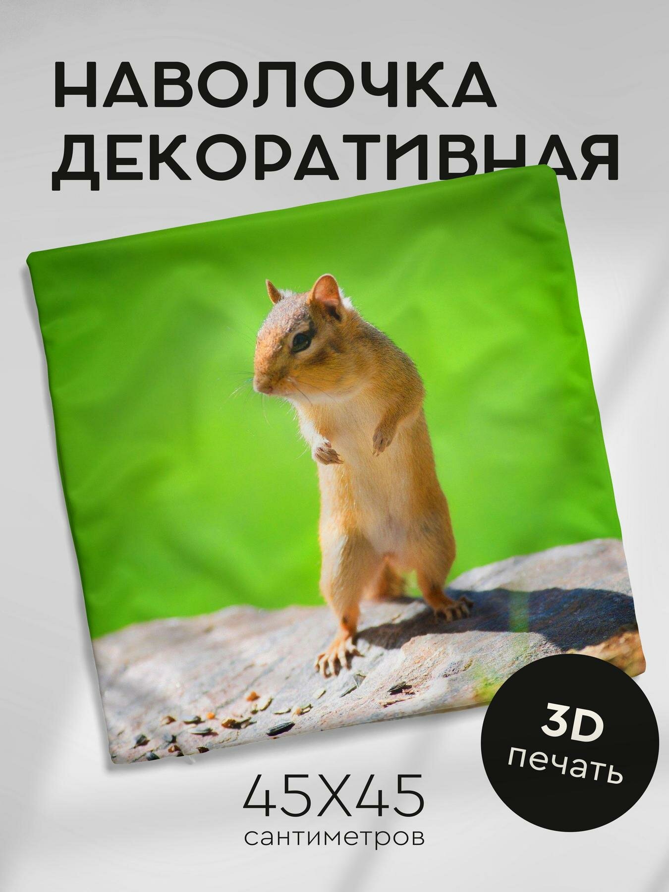Наволочка декоративная, 45х45см / белка / зверек / камень