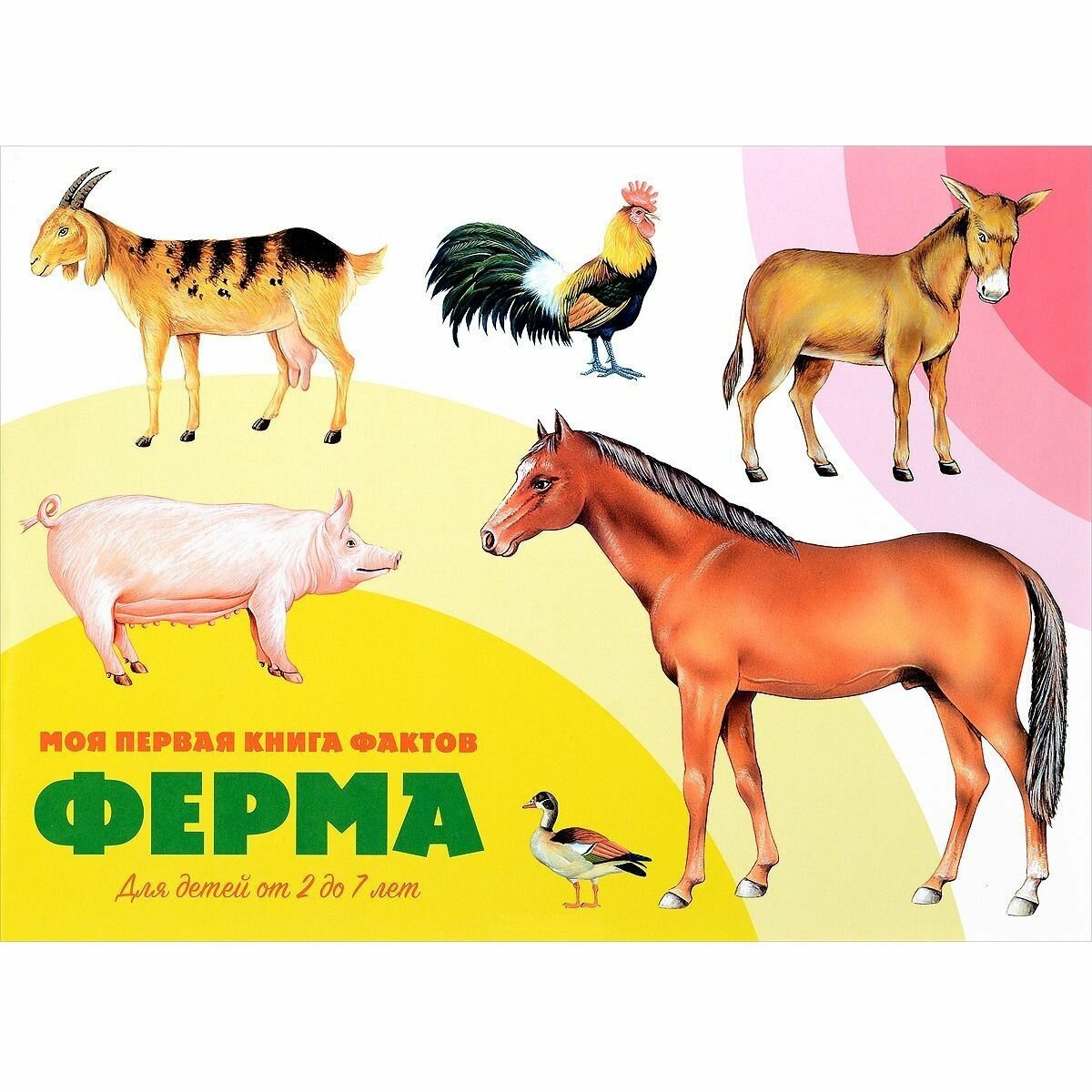 Моя первая книга фактов ND Play Ферма. Развивающая, для детского чтения (978-5-9068-4366-1)