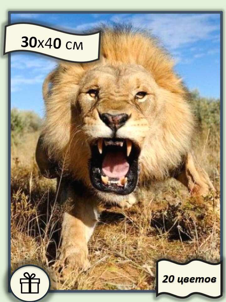 Алмазная мозаика "Дикий лев", на подрамнике, полная выкладка, 30x40 см