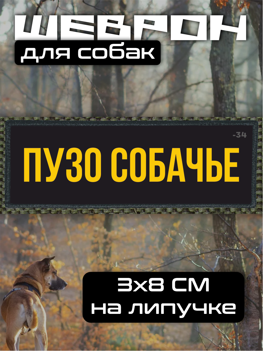 Шеврон на липучке для собак Пузо собачье надпись