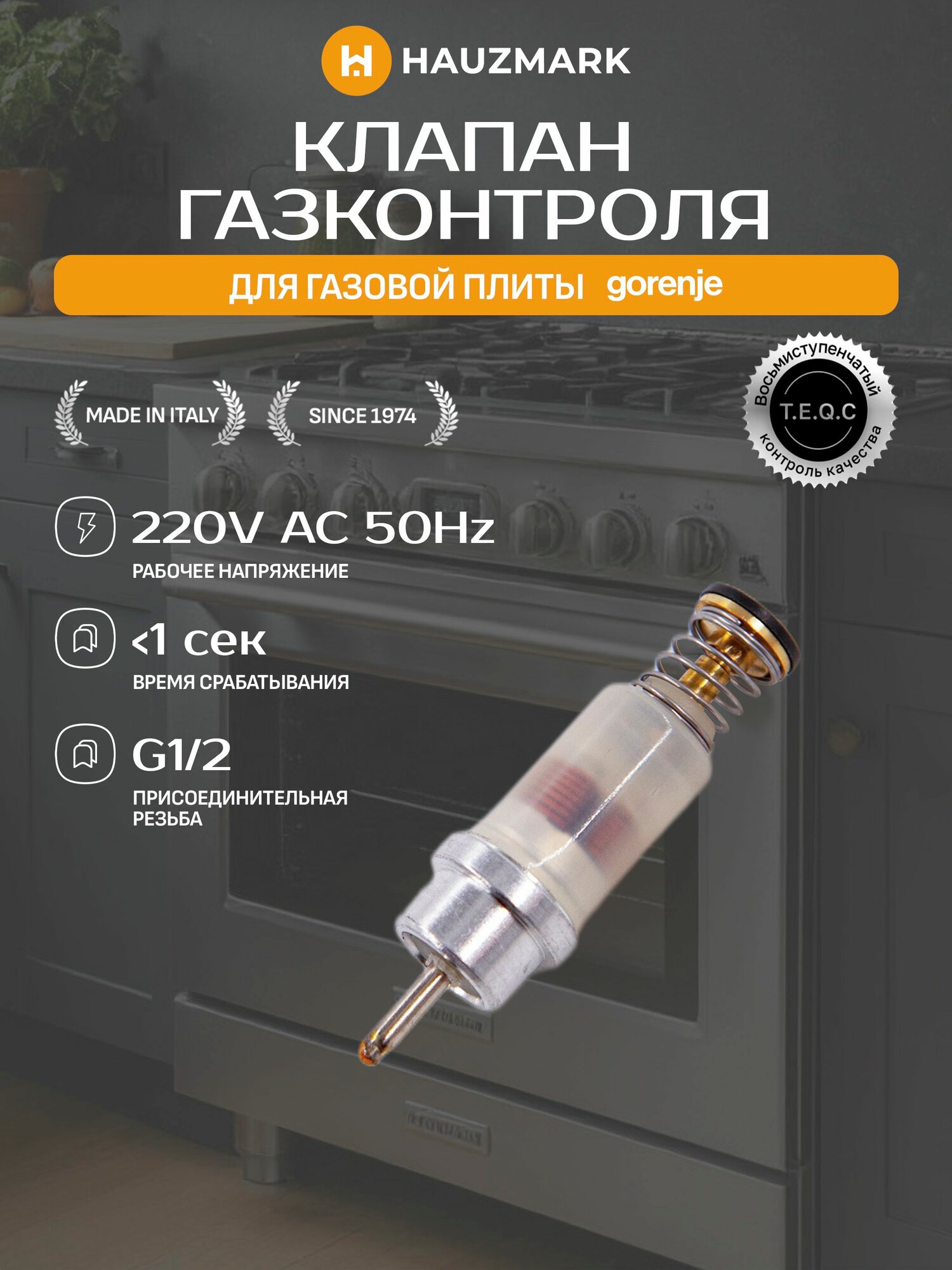 Клапан газконтроля для газовой плиты Gorenje Y0189 WC201