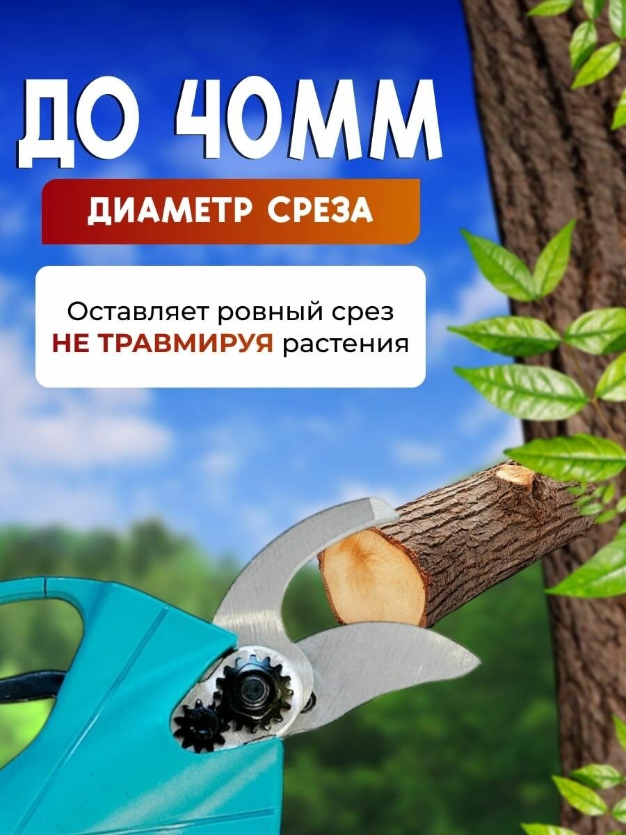 Электросекатор — фото 1