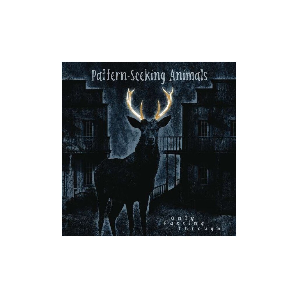 Виниловая пластинка Pattern-Seeking Animals - Only Passing Through (3 LP)