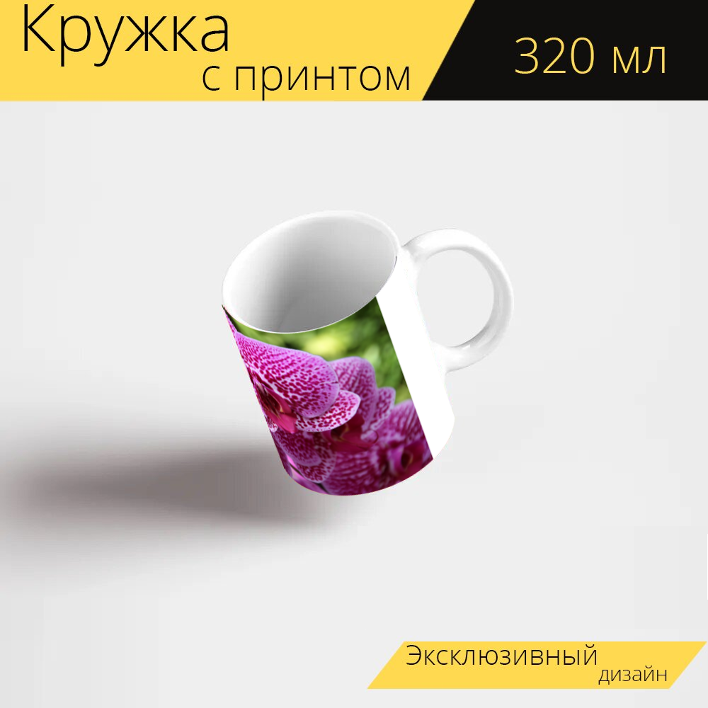 Кружка с рисунком, принтом "Фаленопсис, фиолетовый, орхидея" 320 мл.