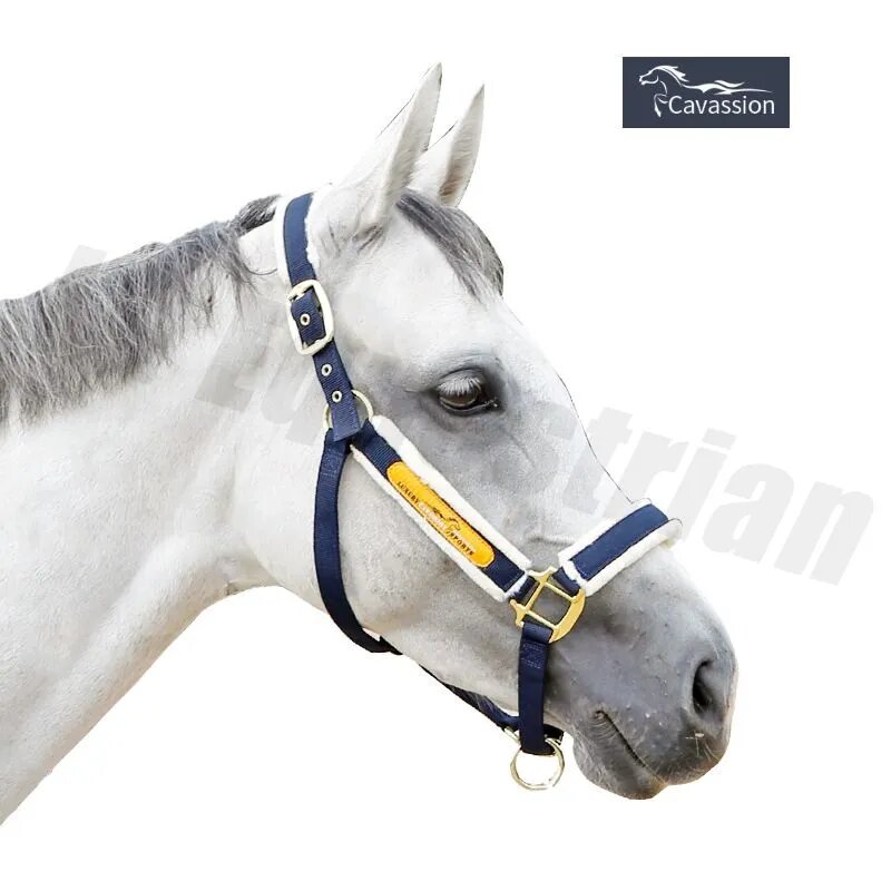 Набор уздечки и поводья