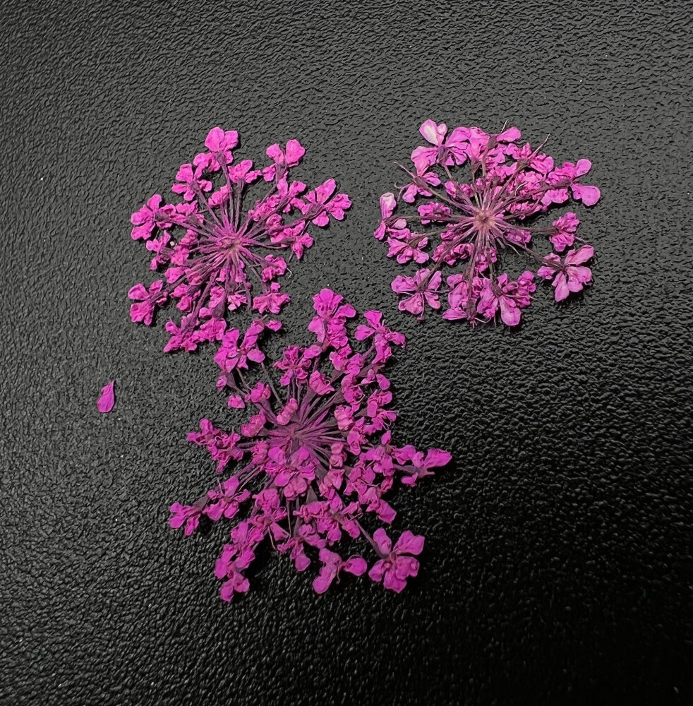 Сухоцветы Любимые цветочки Zoo Nail Art 1681