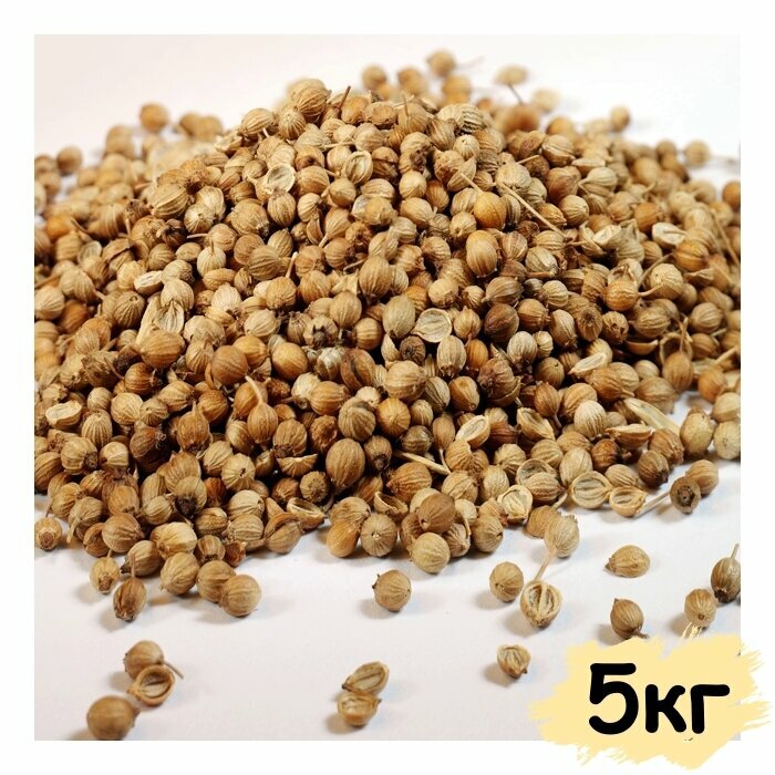 Кориандр зерно (целый) 5 000 гр, 5 кг, Вегетарианский продукт, Vegan