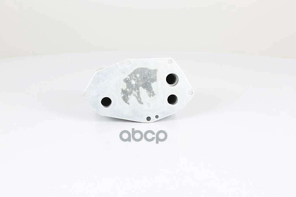 Маслоохладитель Двигателя BSG AUTO PARTS арт. bsg15-506-019