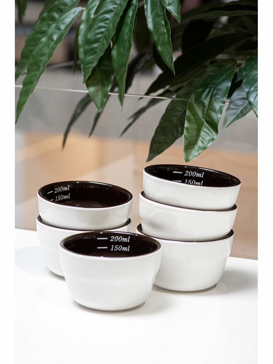 Набор чашек для каппинга Tiamo, 200 мл, 6 шт, материал: керамика