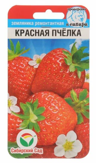Семена земляники Сибирский Сад "Красная пчелка", ремонтантная, 10 штук семян