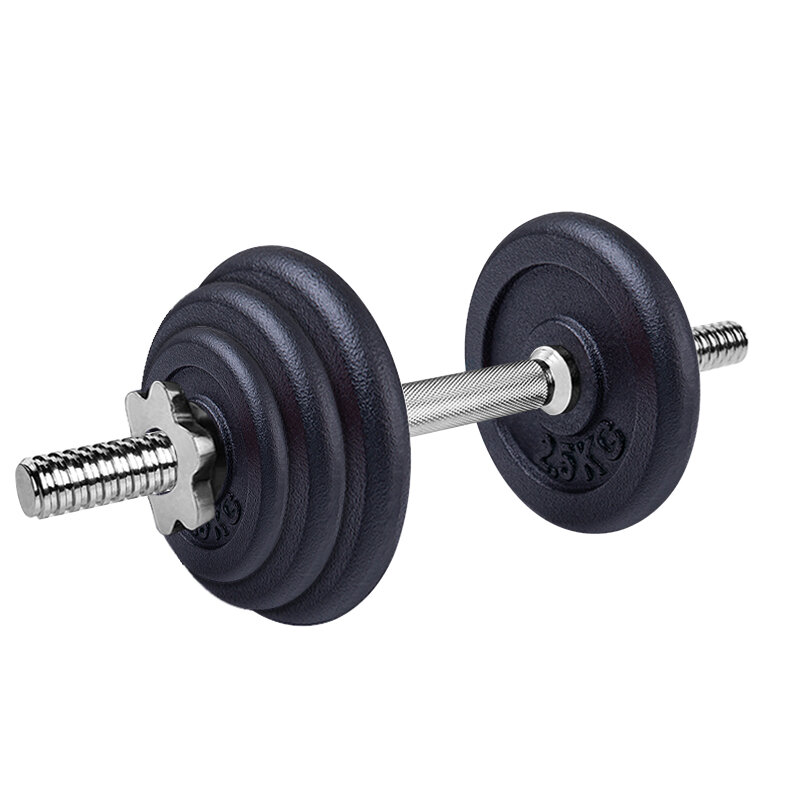 Гантель разборная чугунная 10 кг Voitto - d26, Комплектация №1 с железной ручкой