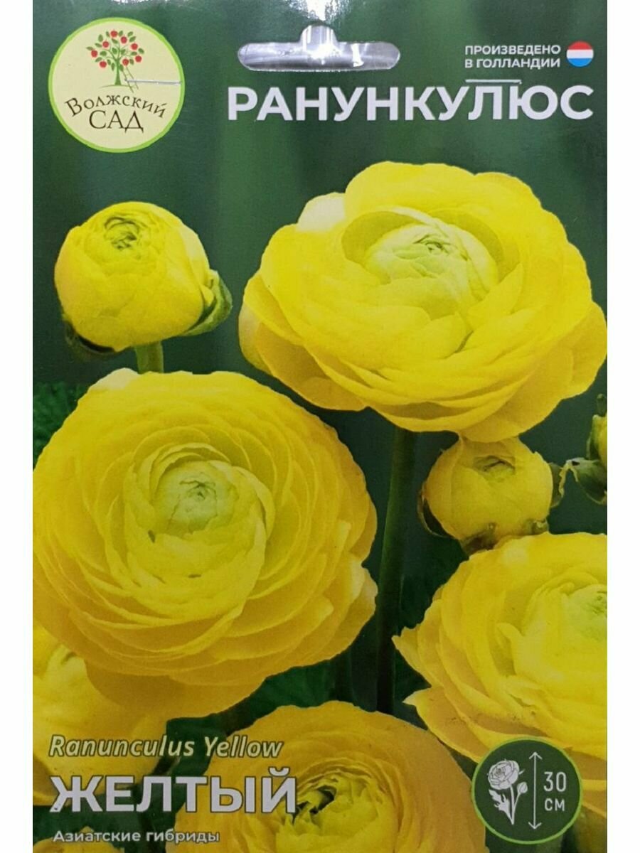 Ранункулюс Желтый