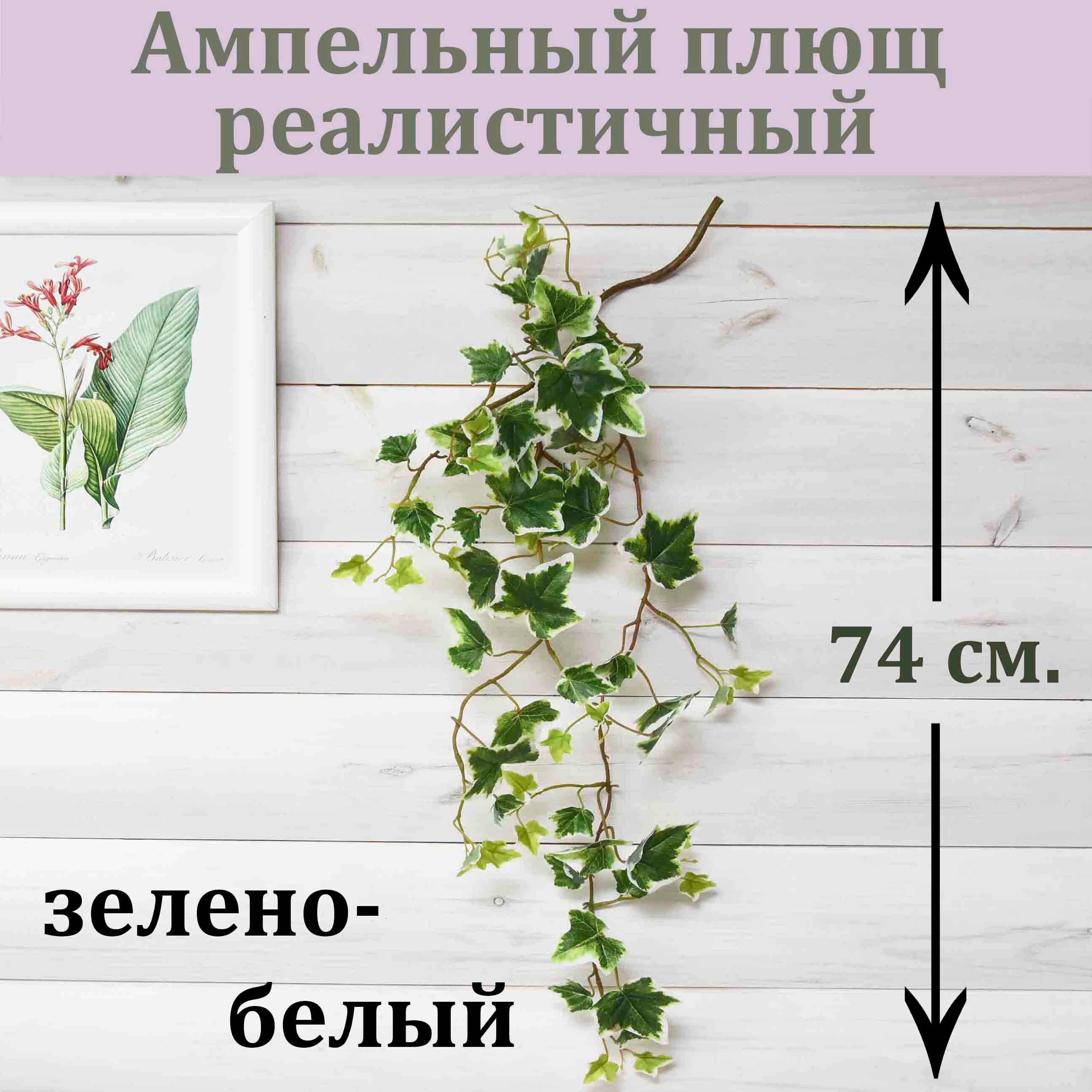 Ампельный плющ реалистичный (зелено-белый)/Зелень декоративная /Реалистичные искусственные цветы