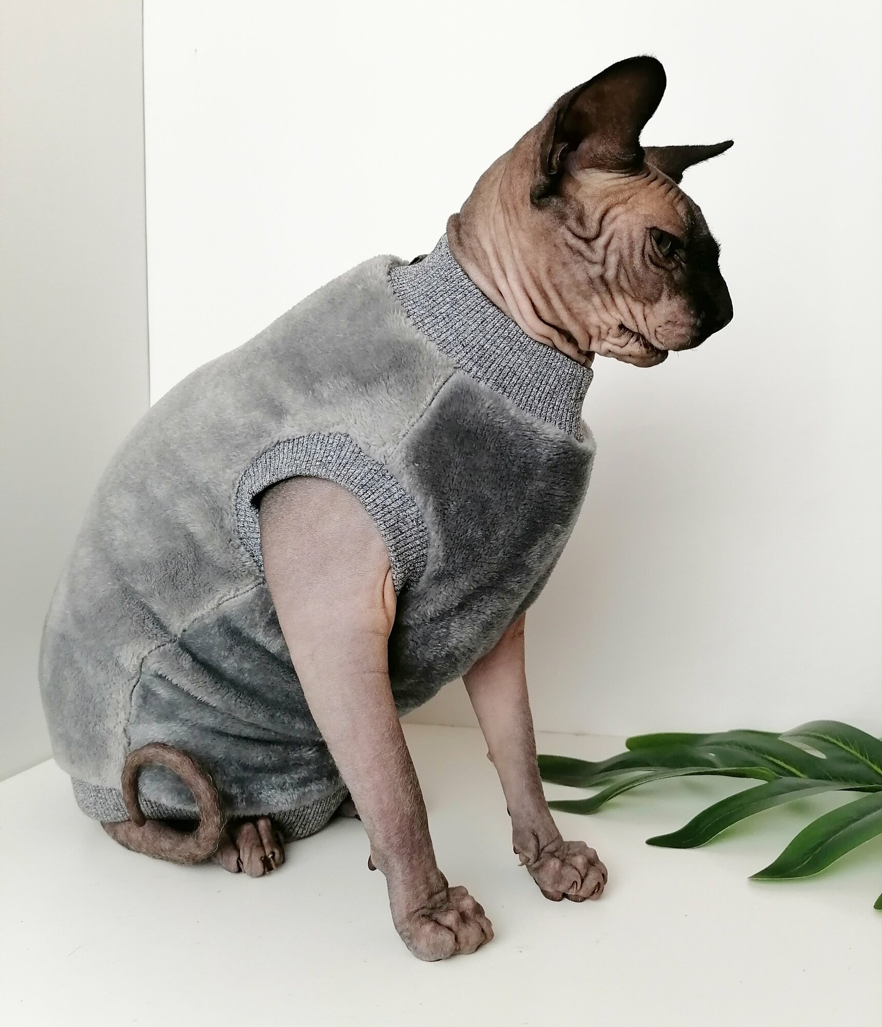 Толстовка, свитер, шуба для кошек сфинкс, размер 35 (длина спины 35см), цвет темно-серый/ Одежда для кошек сфинкс / одежда для животных