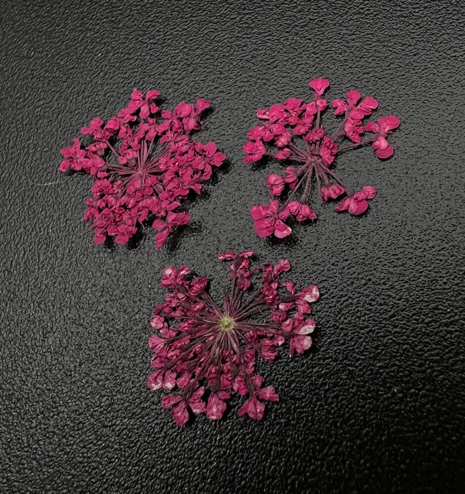 Сухоцветы Любимые цветочки Zoo Nail Art 1682