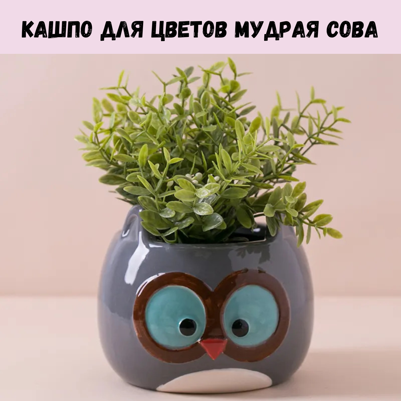 Горшок для цветов, кактусов и суккулентов Мудрая Сова/ Органайзер для карандашей и ручек