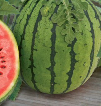 Семена Арбуза Радость F1 (1 гр.)