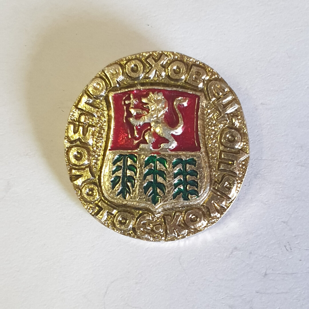 Значок "Гороховец, золотое кольцо", СССР