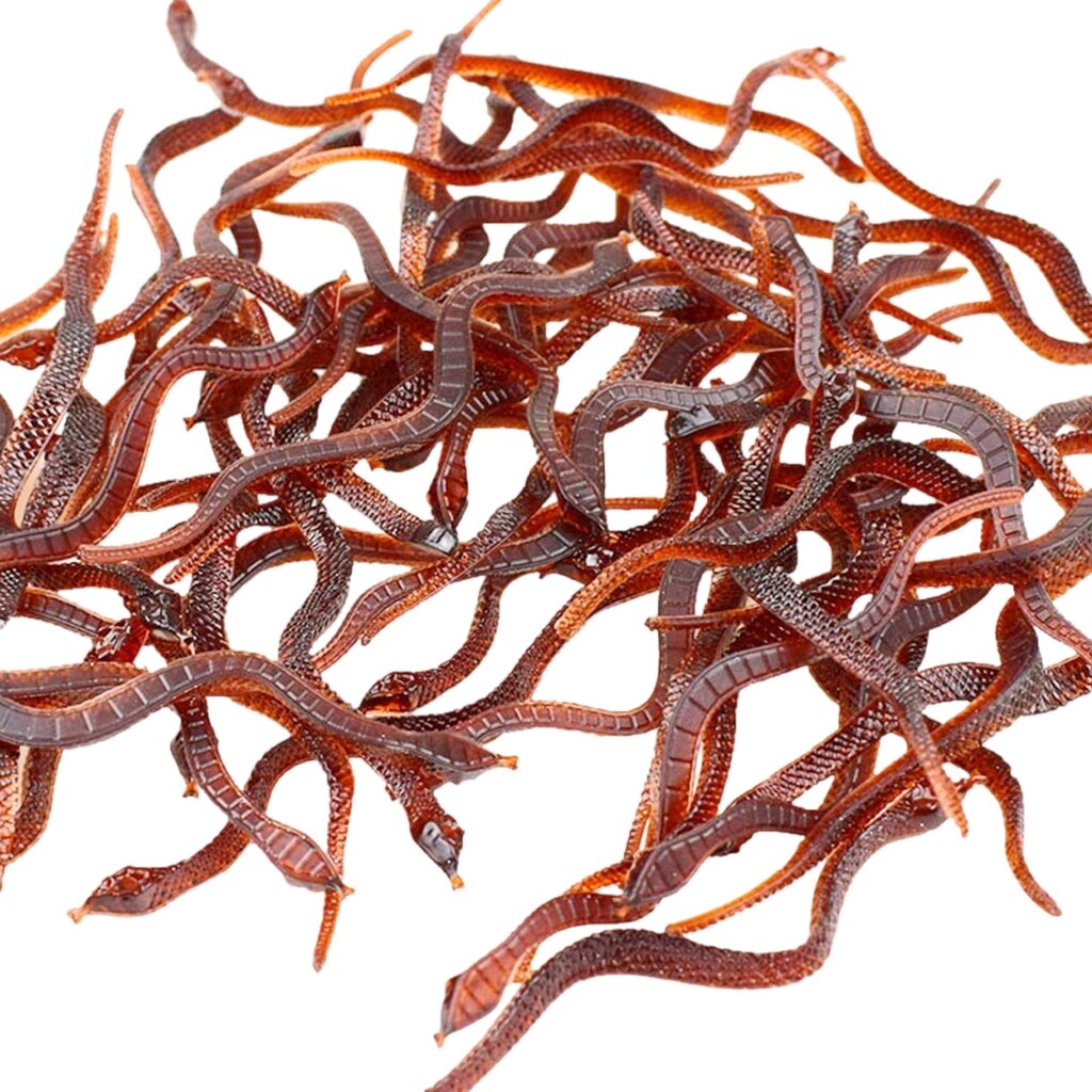 Упаковка из 100 Halloweens Drank Toy Toy Toy Realistic Tockurach Fest Festival Festival для вечеринок Gags and Jokes