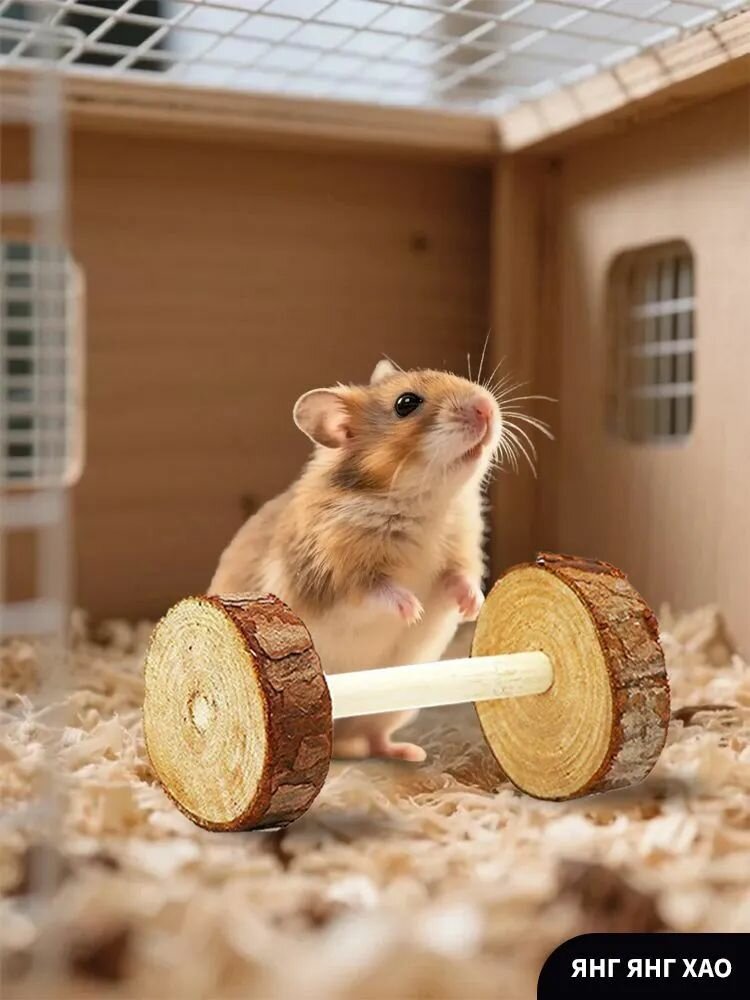Игрушки для грызунов: хомяков, кроликов, крыс и других маленьких питомцев