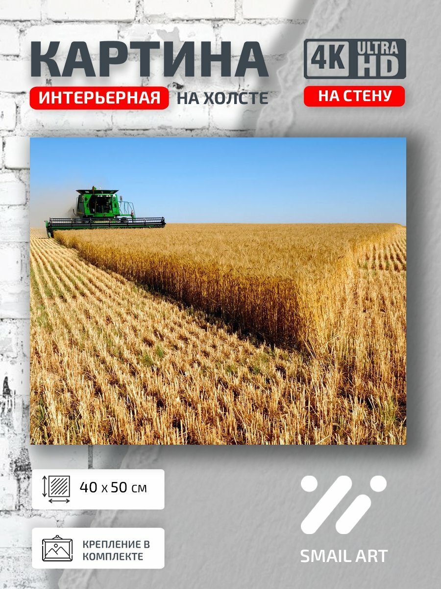Картина на холсте интерьерная 40 на 50 на стену Пшеница Landscape для офиса пейзаж интерьер