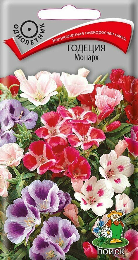 Семена цветов Поиск годеция Монарх, для дачи, сада, огорода и на рассаду