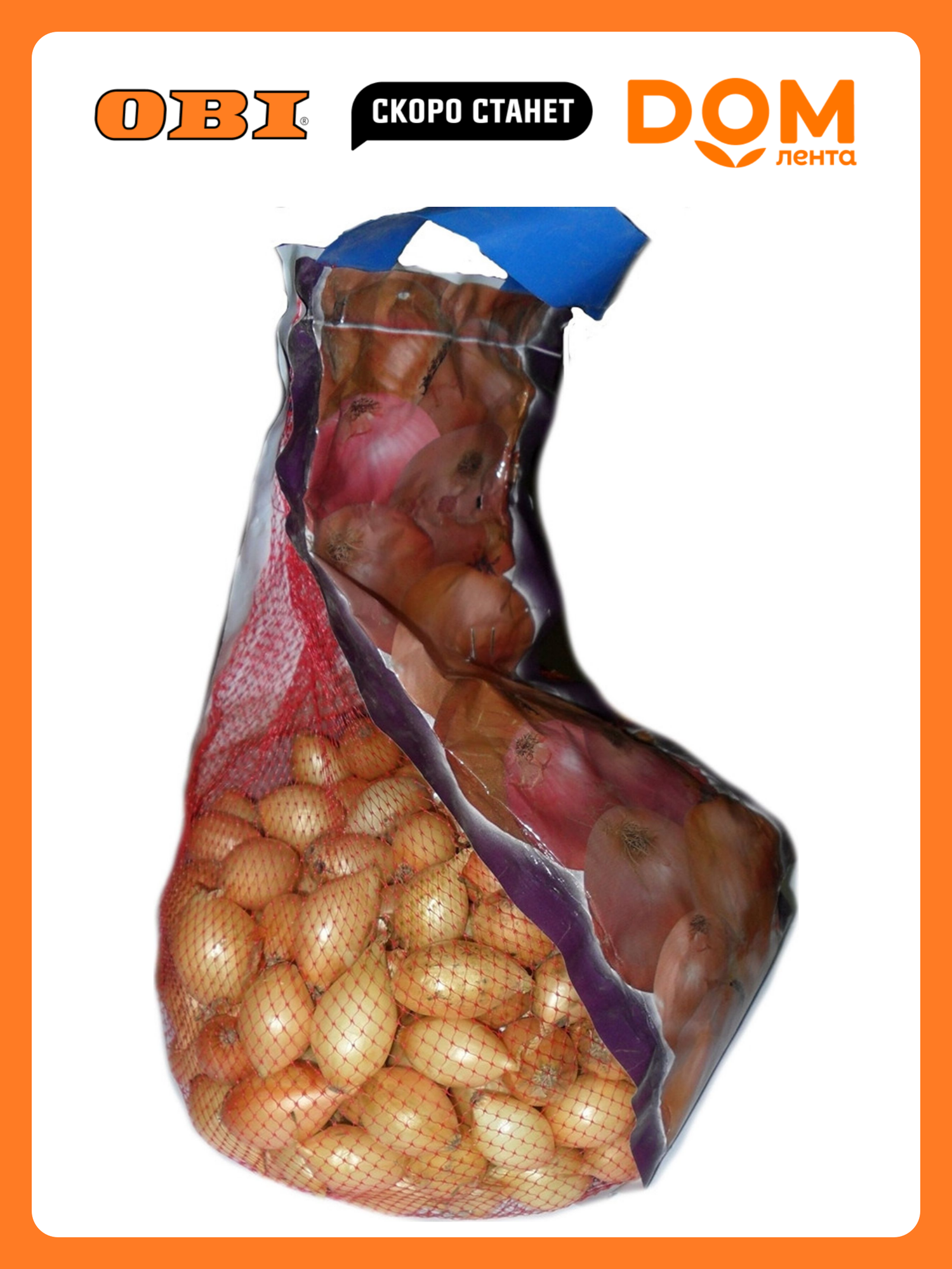 Лук-севок желтый лукаморе Центурион 900 г