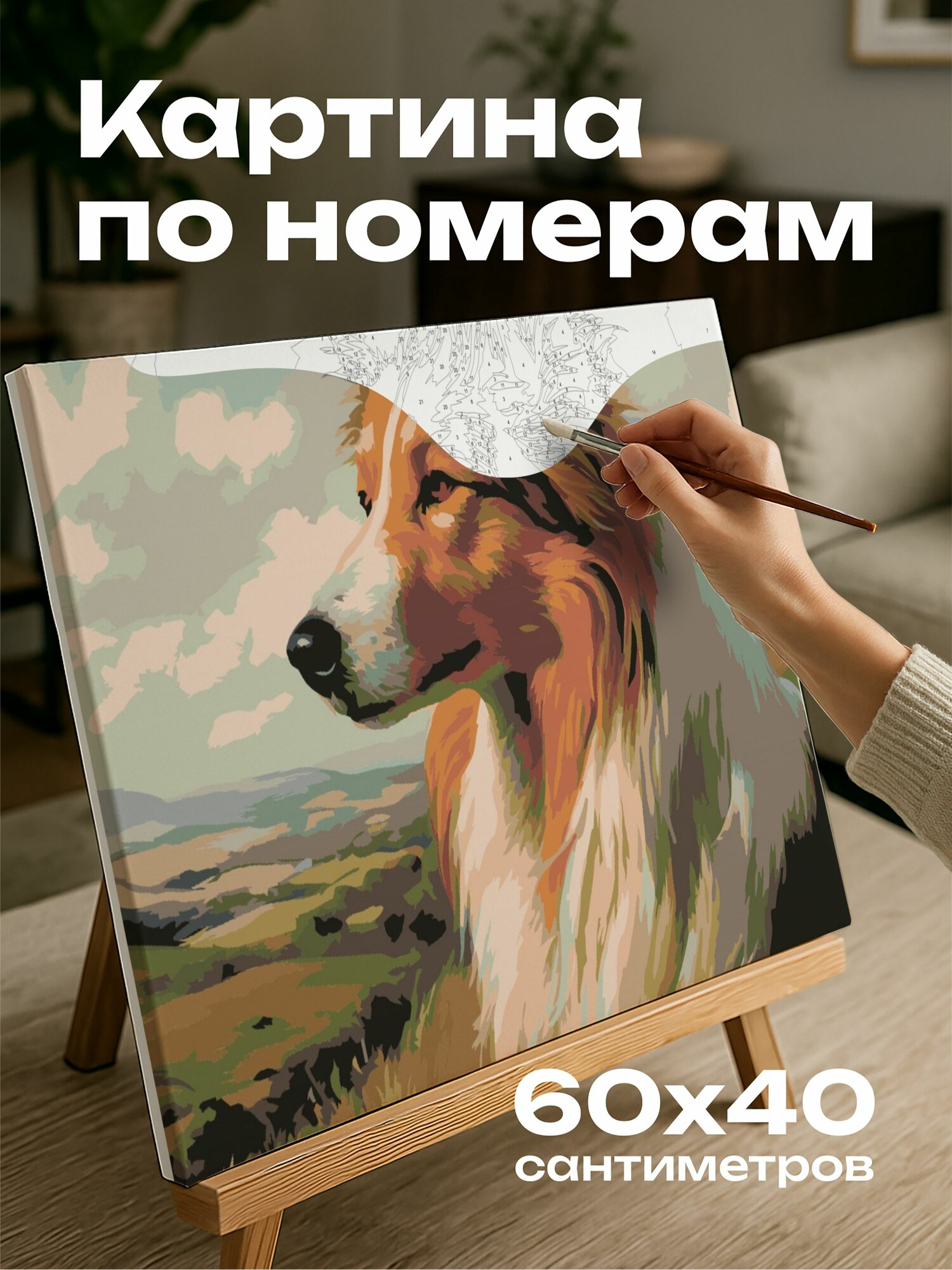 Картина по номерам 60x40 см, картина, масло, колли, глаза, холмы, небо, цветовая палитра, реализм, эмоции, теплый